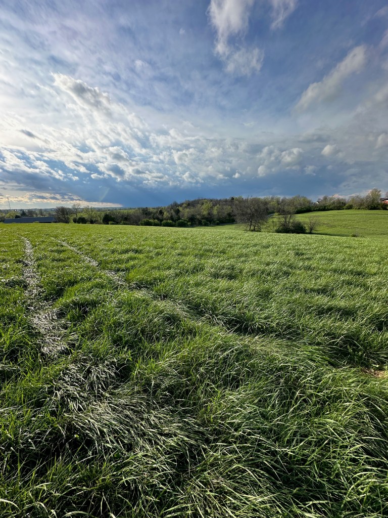 Contact Us – Unity Farms