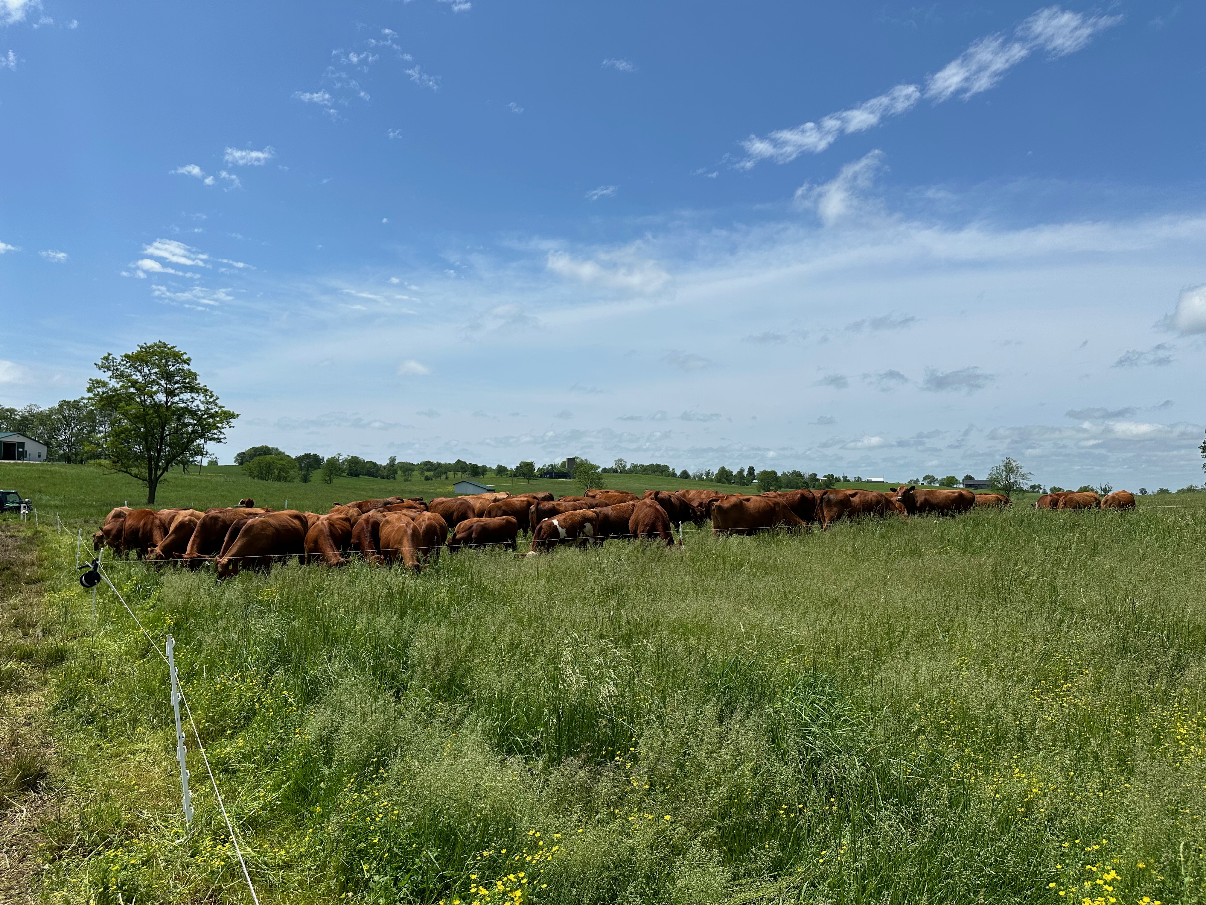 Contact Us – Unity Farms