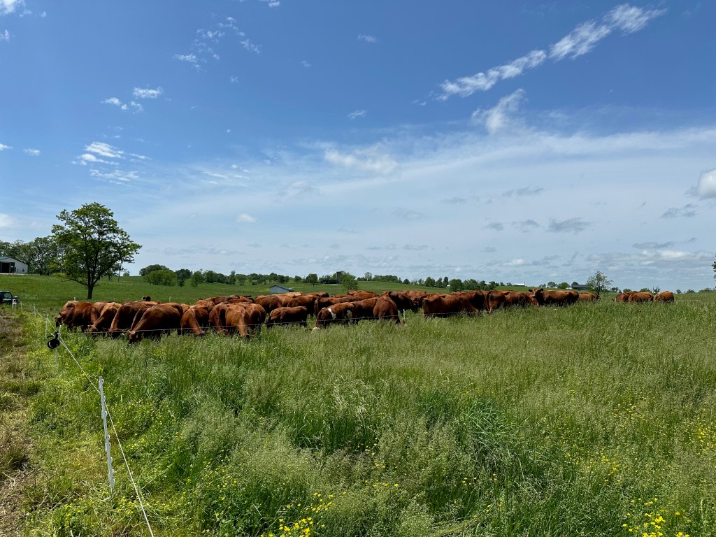 Contact Us – Unity Farms